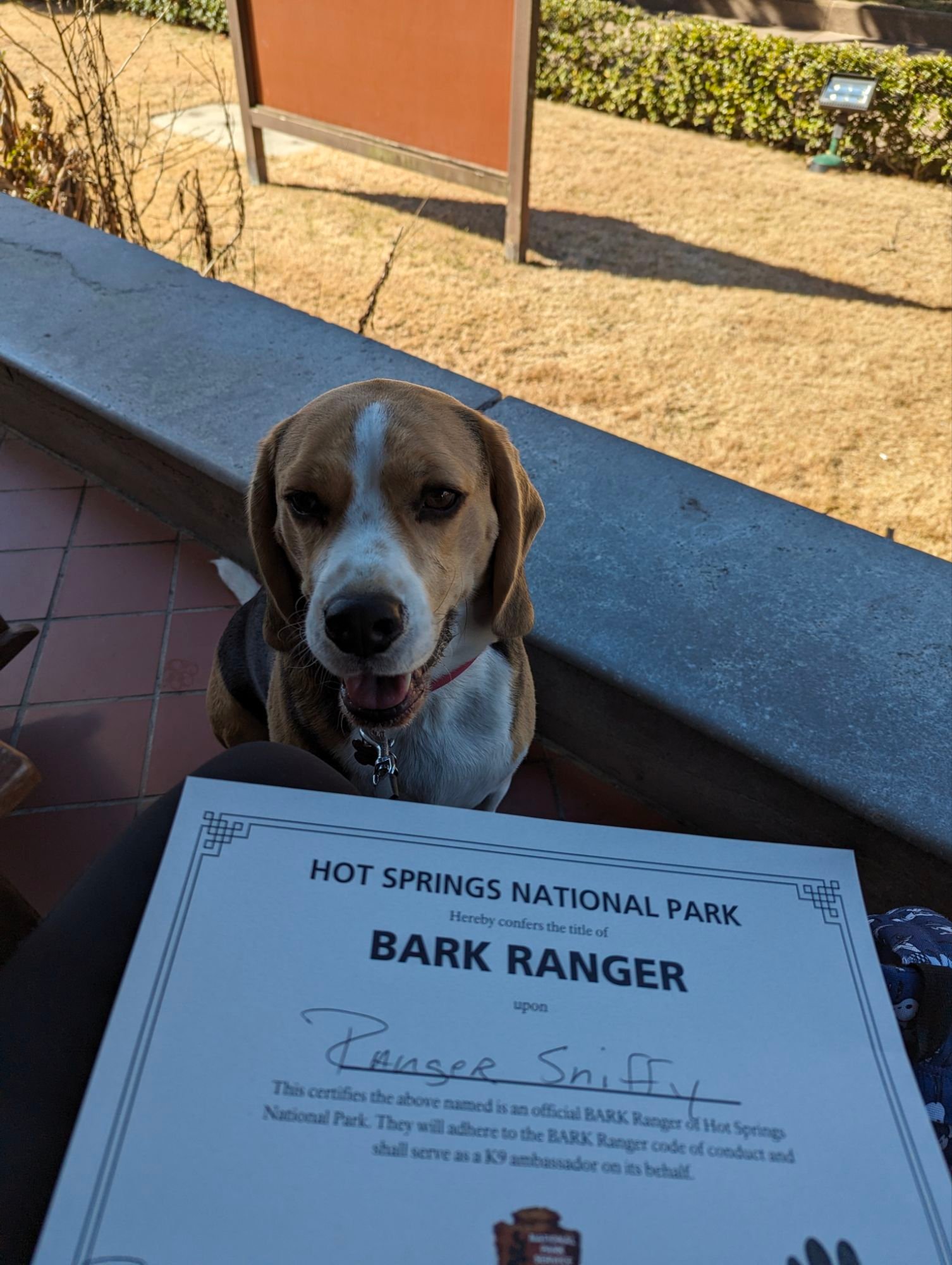 Sniffy Joins the US National Park Bark Ranger Program