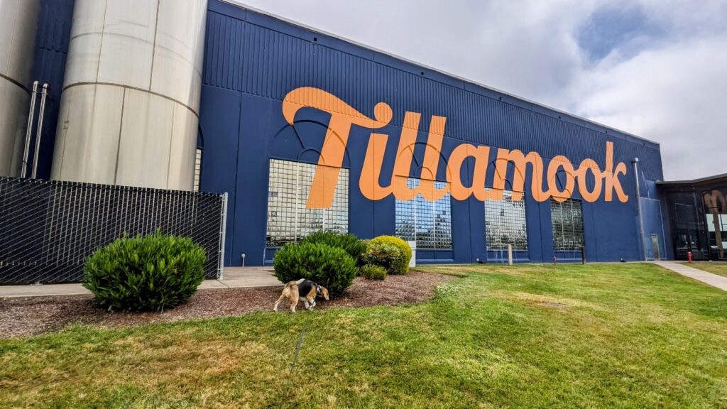 Visiting the Tillamook Creamery: A Dairy Lover’s Dream