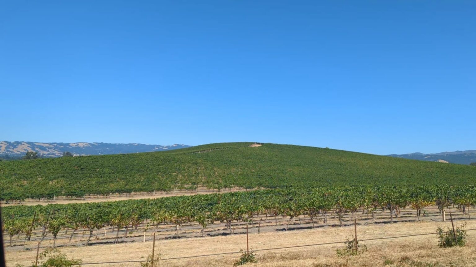 Achievement Unlocked! Seeing the Windows XP Wallpaper IN REAL LIFE