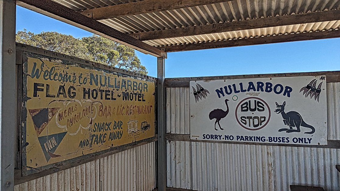 Exploring Nullarbor Wildlife: Road Safety Tips & Advice