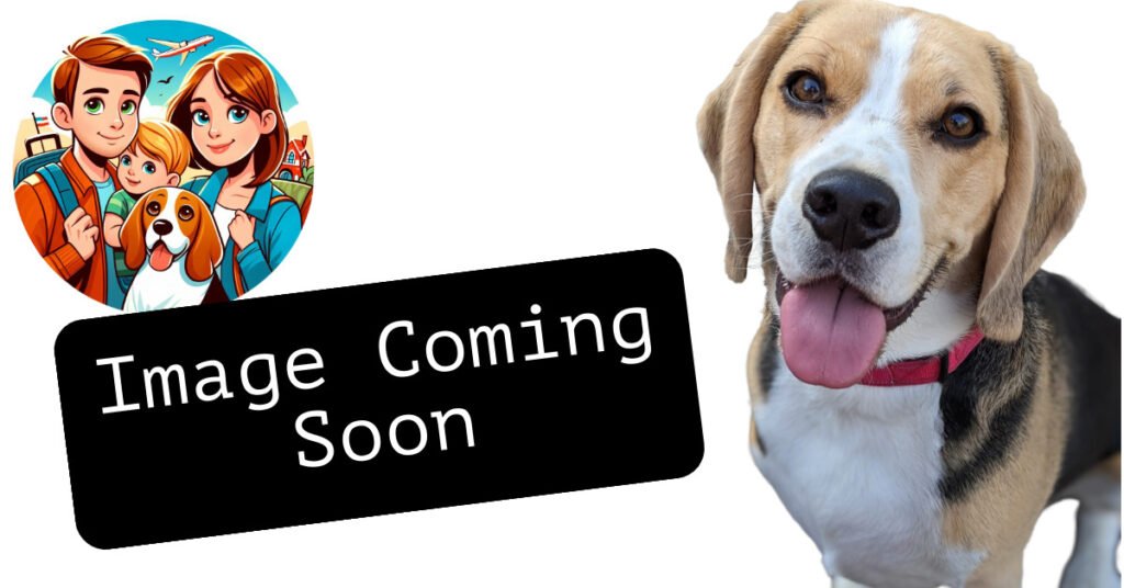 Exploring Phoenix: A Guide to Arizona’s Valley of the Sun